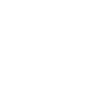 About Us – The Lyons Companies